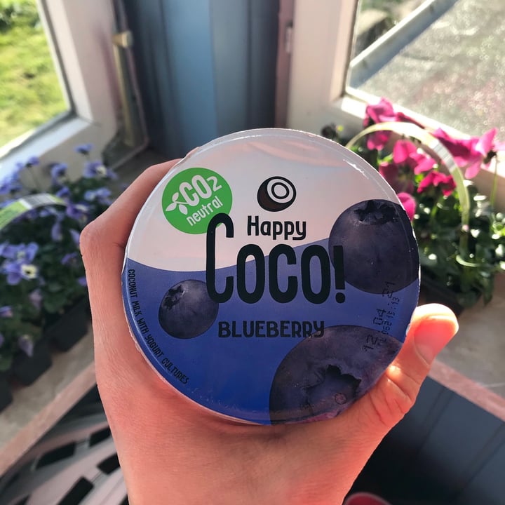 Happy Coco! Blueberry Review | abillion