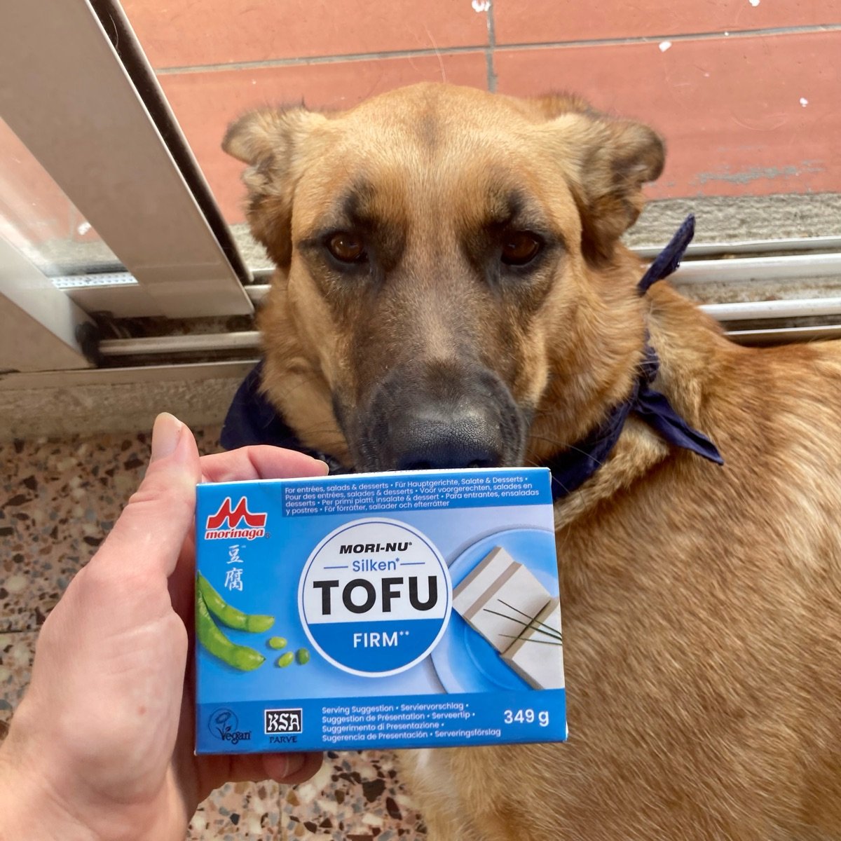 Tofu (Silken) Firm from Morinaga - Vegan Product Reviews & Ratings ...