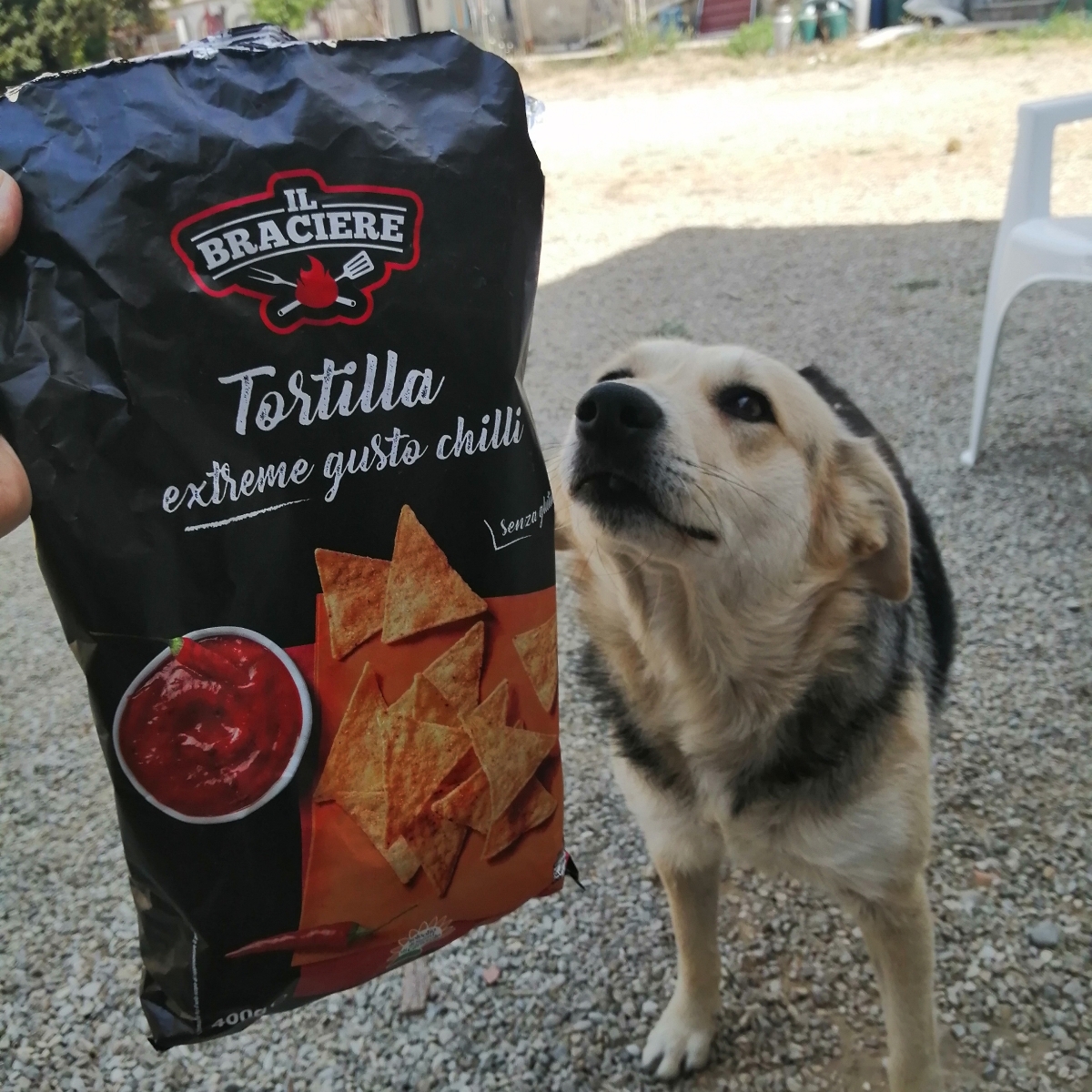 Tortilla chips extreme gusto chilli from Il braciere - Vegan Product ...