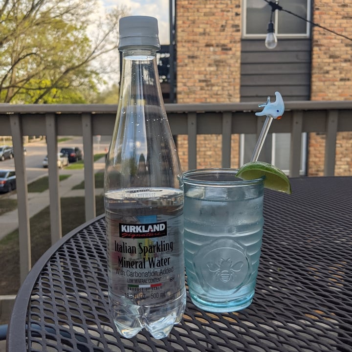 Kirkland Signature Italian Sparkling Mineral Water Review | abillion