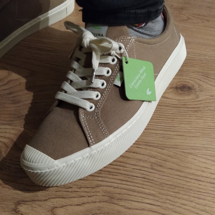 Cariuma OCA Low Burnt Sand Canvas Contrast Thread Sneaker Review | abillion