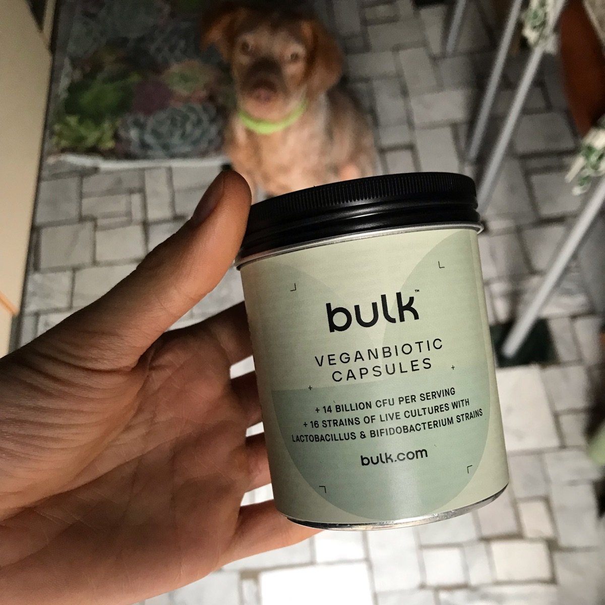 Veganbiotic from Bulk powders - Vegan Product Reviews & Ratings | abillion