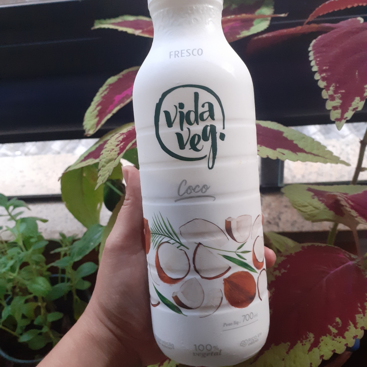 Leite Vegetal De Côco Fresco from Vida Veg - Vegan Product Reviews ...