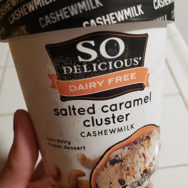 So Delicious Dairy Free Salted Caramel Cluster Cashewmilk Frozen ...
