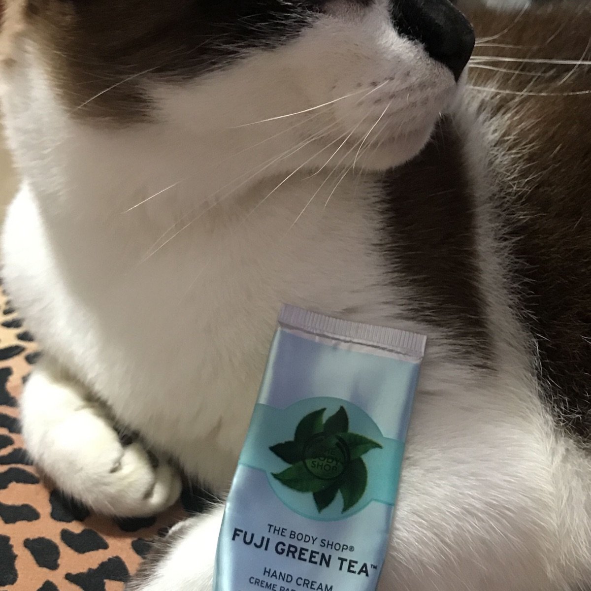 Fuji Green Tea Hand Cream from The Body Shop - Vegan Product Reviews ...