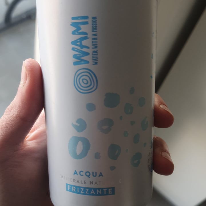 Wami srl Water with a mission Review | abillion