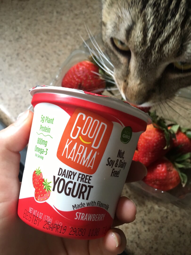 Dairy Free Yogurt Strawberry from Good Karma - Vegan Product Reviews ...