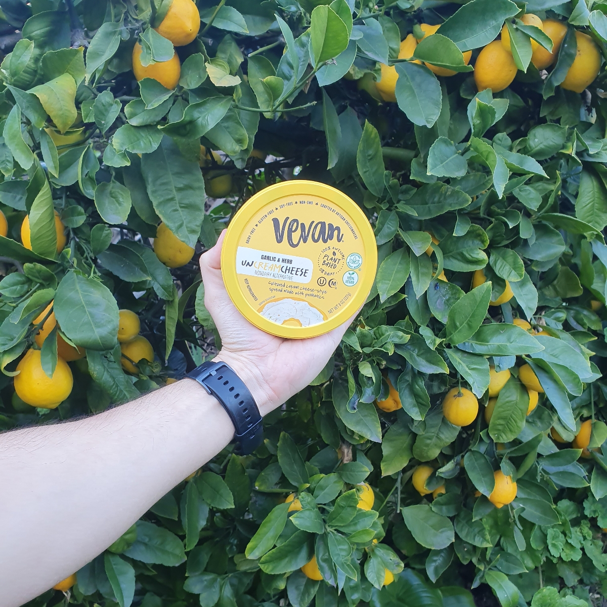 Vevan Garlic And Herb Uncream Cheese Reviews Abillion