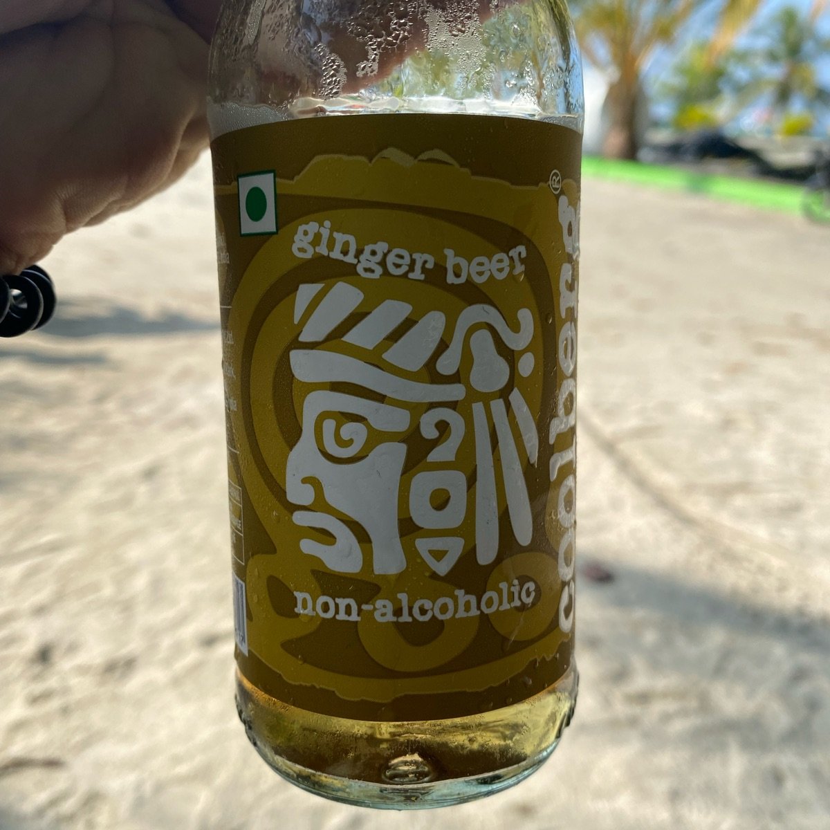 High On Ginger from Coolberg - Vegan Product Reviews & Ratings | abillion