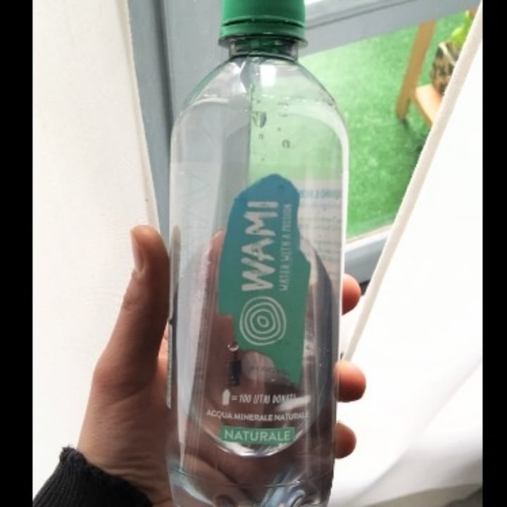 Wami srl Water Review | abillion
