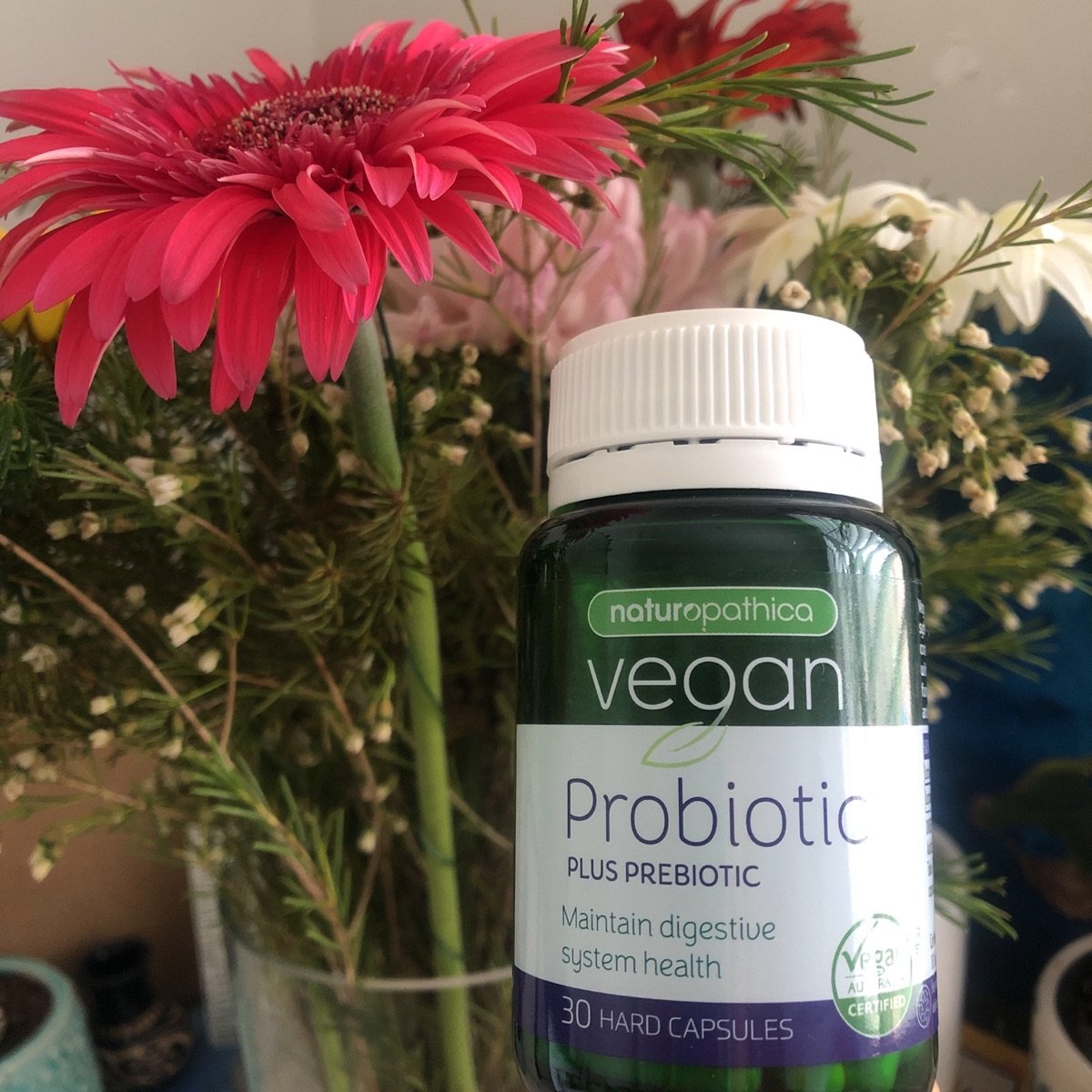 Vegan Probiotic from Naturopathica - Vegan Product Reviews & Ratings ...
