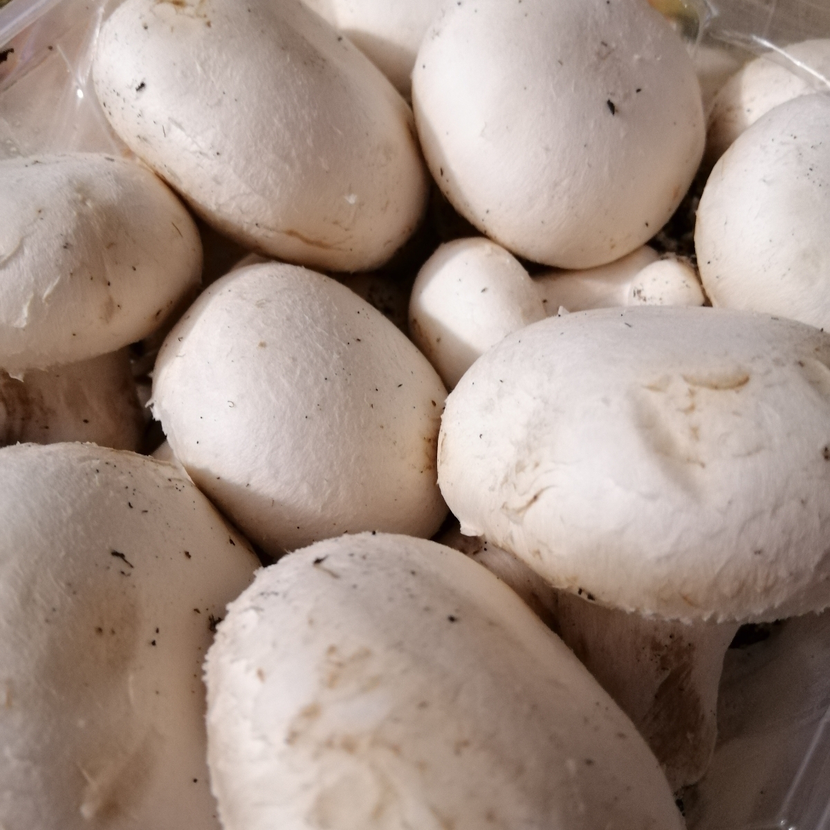 Prataioli bianchi from Fungo Italiano Certificato - Vegan Product ...