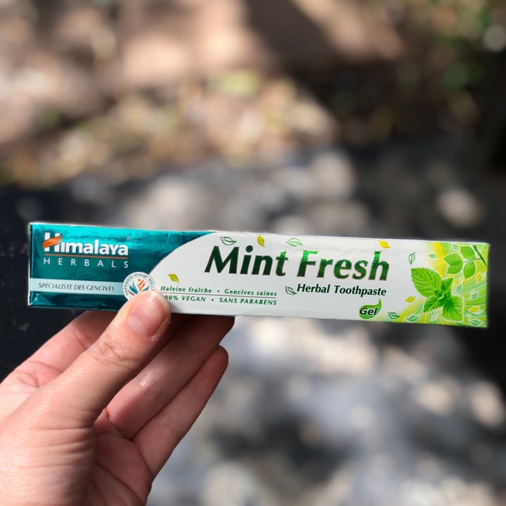 Himalaya Herbals Mint Fresh Toothpaste Review | abillion