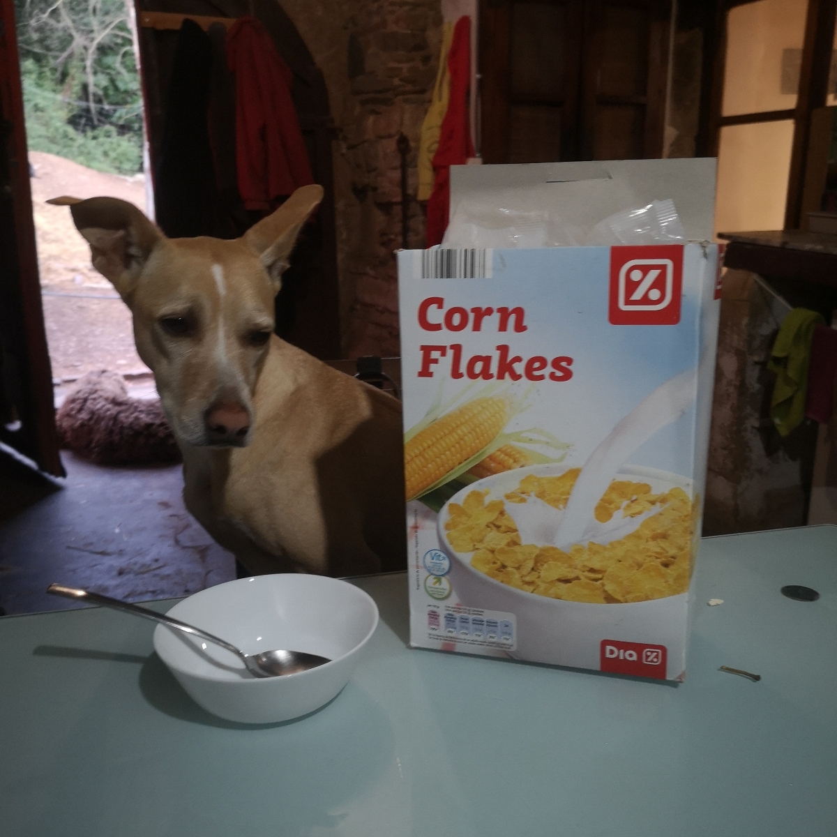 Corn Flakes from Dia% - Vegan Product Reviews & Ratings | abillion