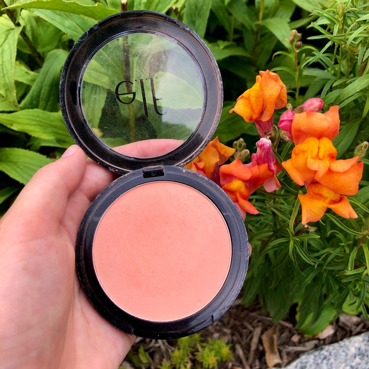 Blush: Always Cheeky from e.l.f. Cosmetics - Vegan Product Reviews ...