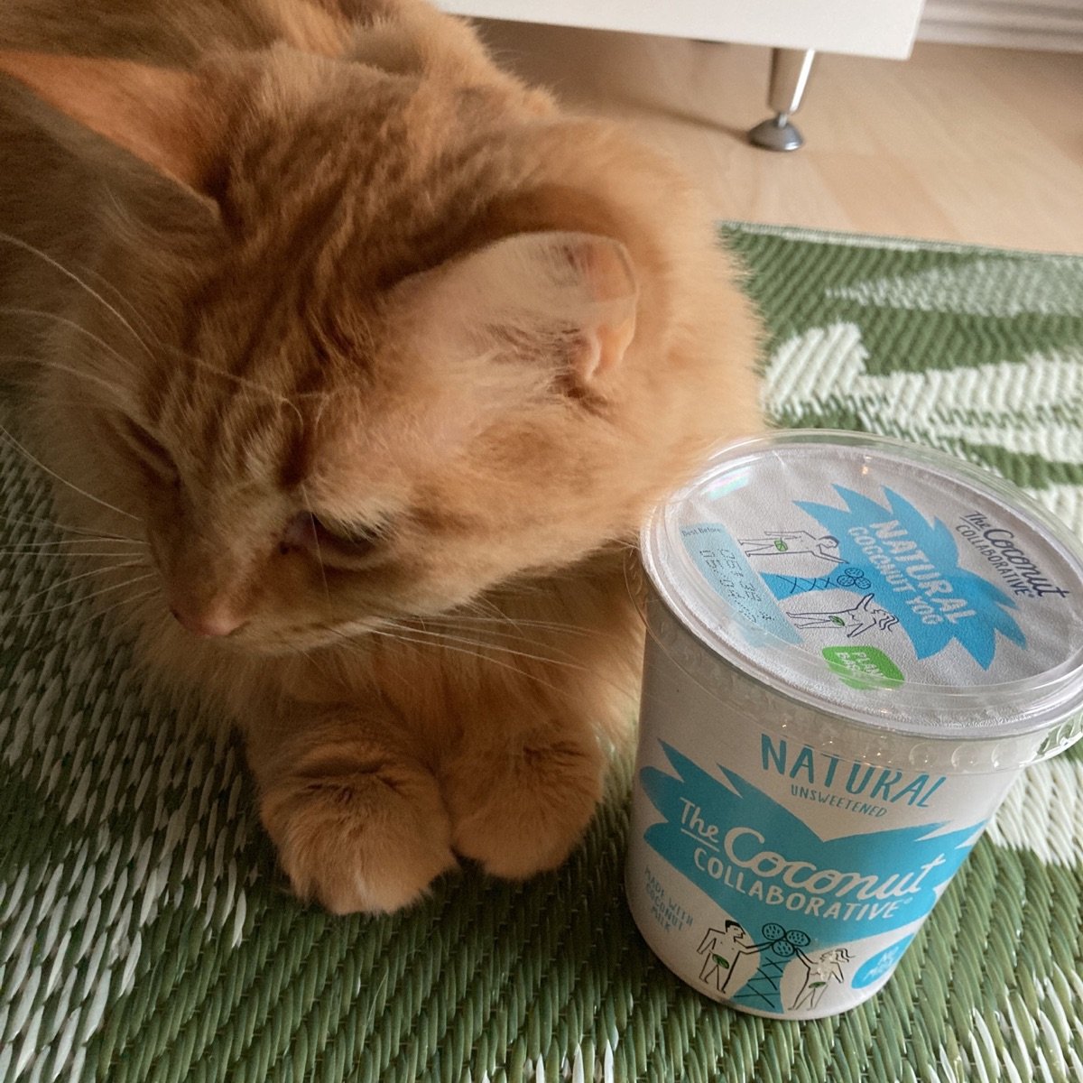 The Coconut Collaborative Coconut Yoghurt Natural Reviews | abillion