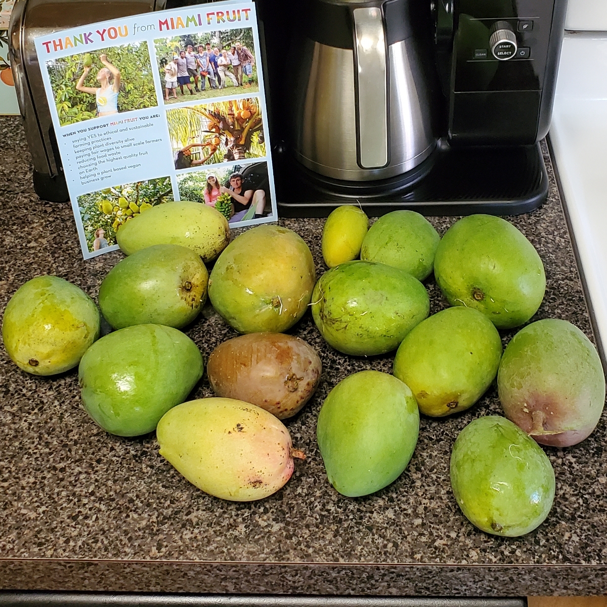 Fairchild Mango Mix Box from Miami Fruit - Vegan Product Reviews ...