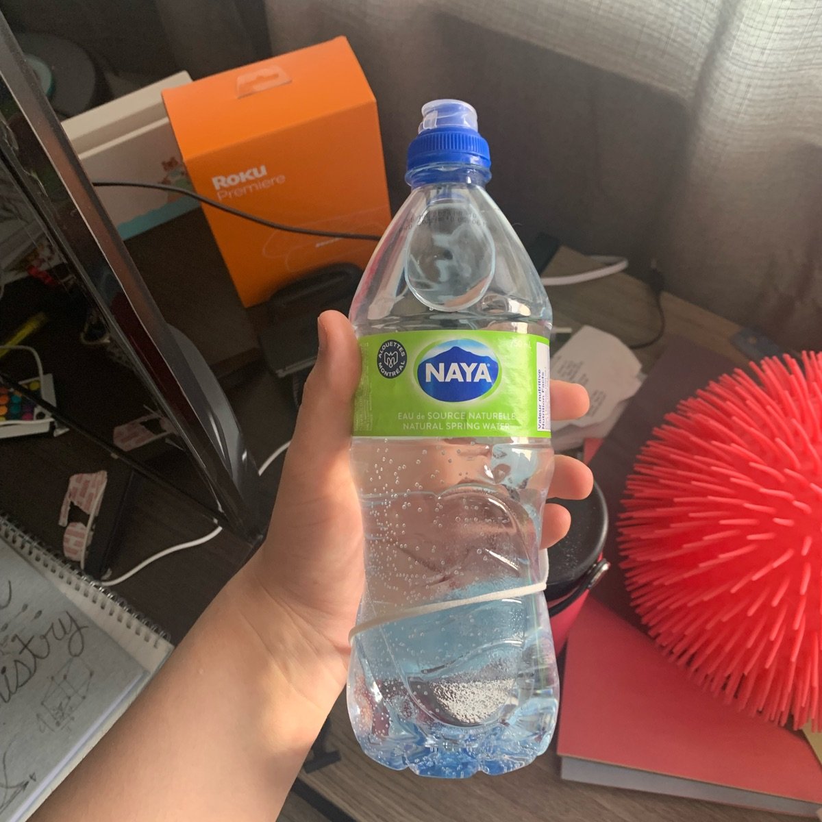Natural Spring Water at naya - Review by @colphax | abillion