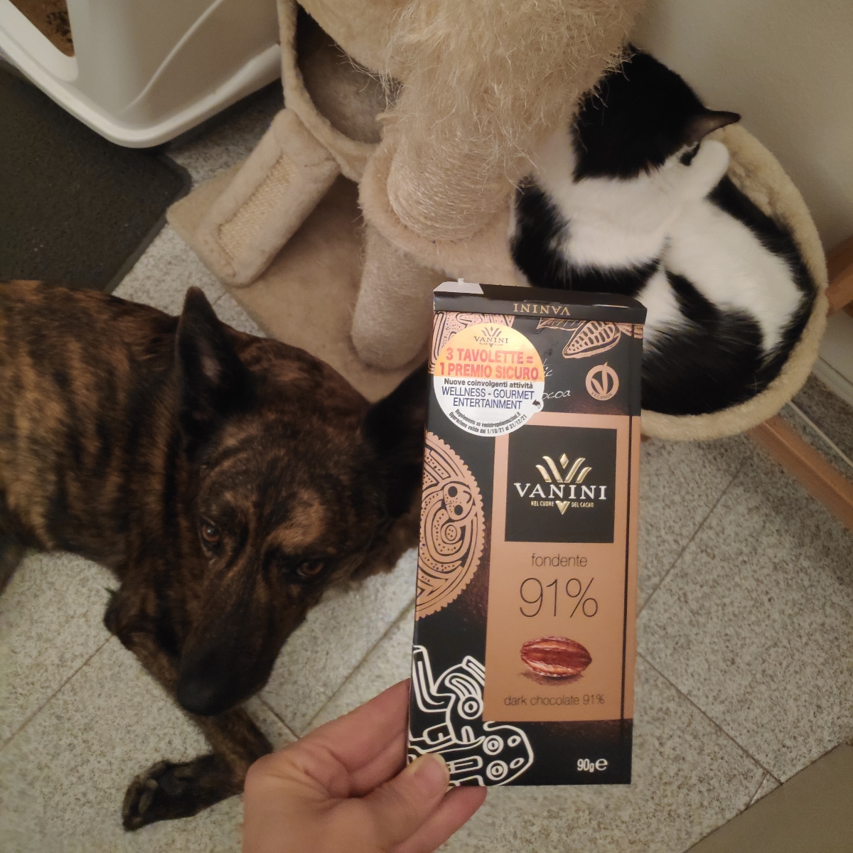 Vanini Dark chocolate 91% Reviews | abillion