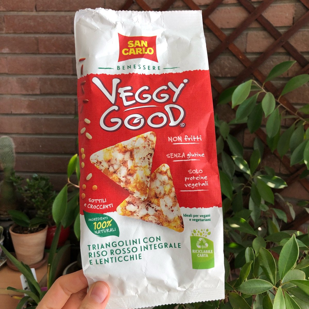 Veggy Good Triangolini con riso rosso integrale e lenticchie from Veggy ...
