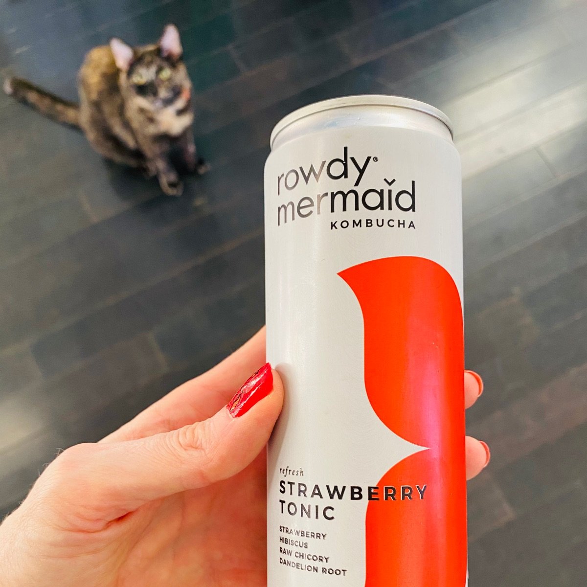 Strawberry Tonic Kombucha from Rowdy Mermaid - Vegan Product Reviews ...