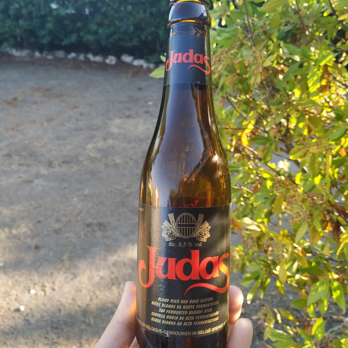 Judas Cerveza Reviews | abillion