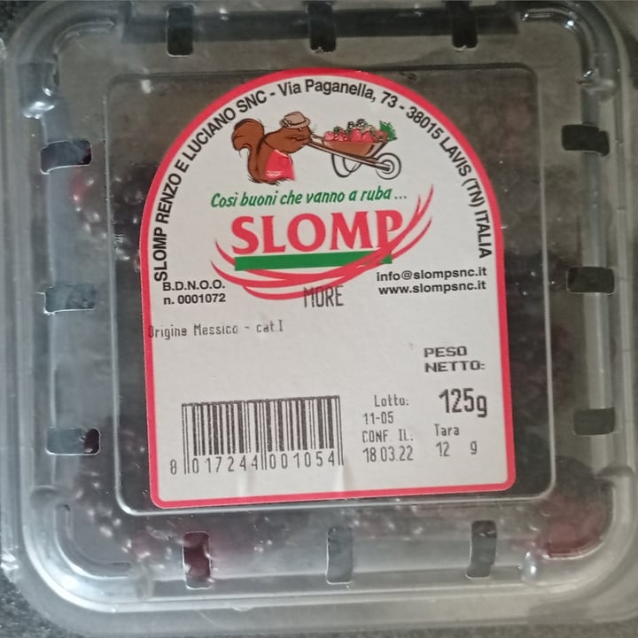 Slomp More Review | abillion