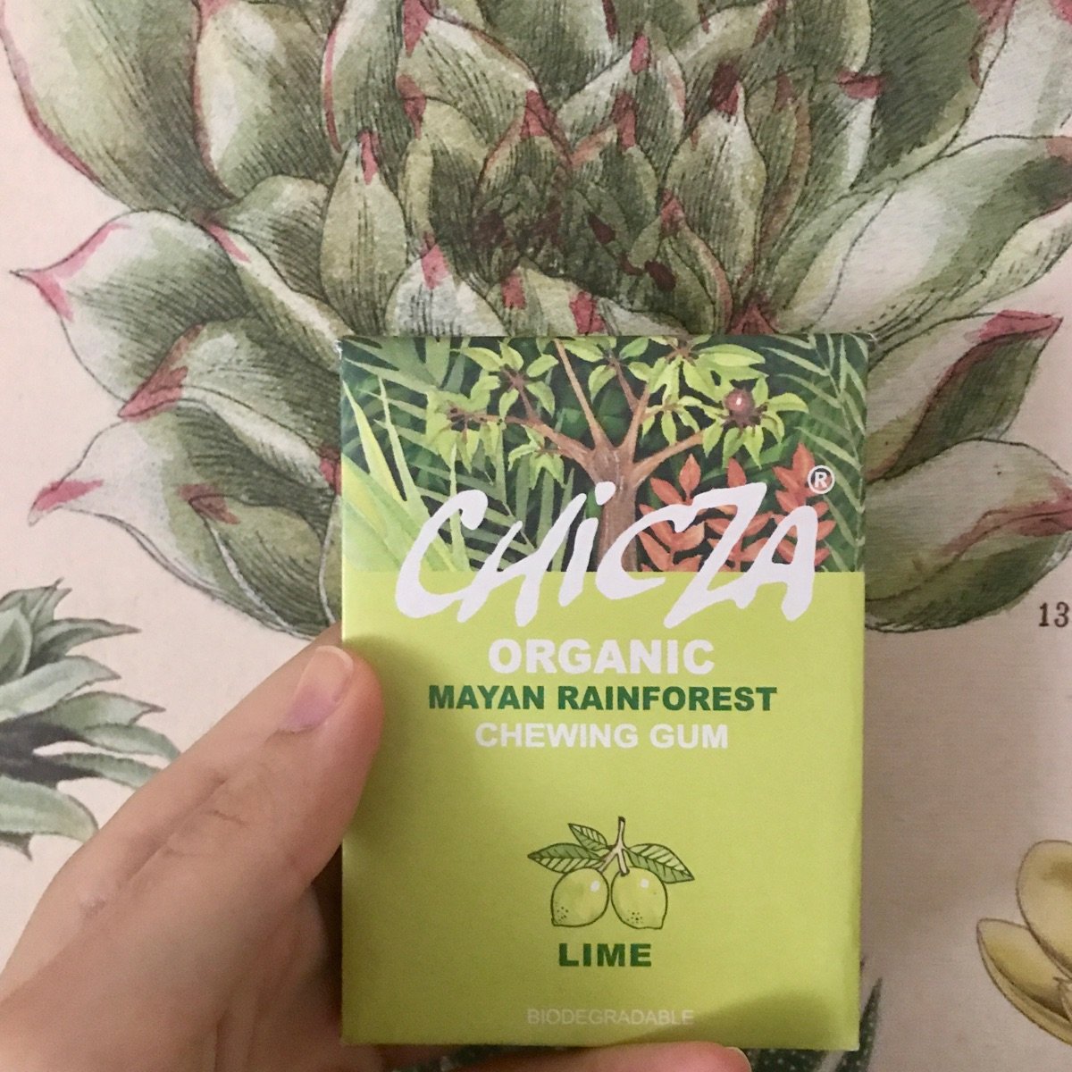 Mayan chewing gum (lima) from chicla - Vegan Product Reviews & Ratings ...