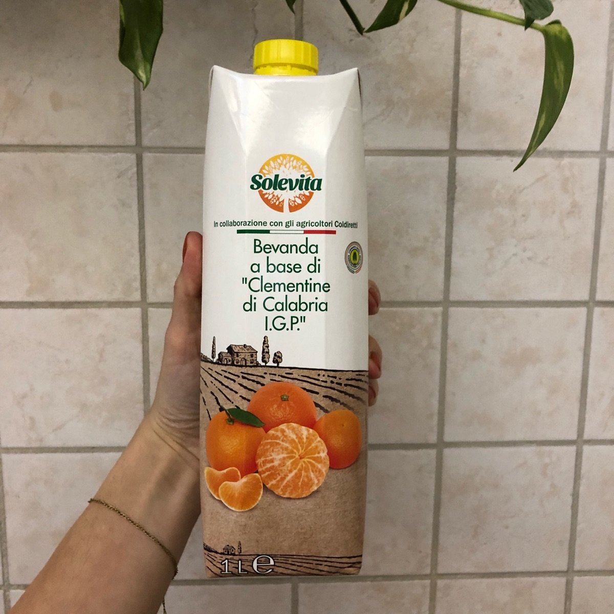 Bevanda a base di Clementine from Solevita - Vegan Product Reviews ...