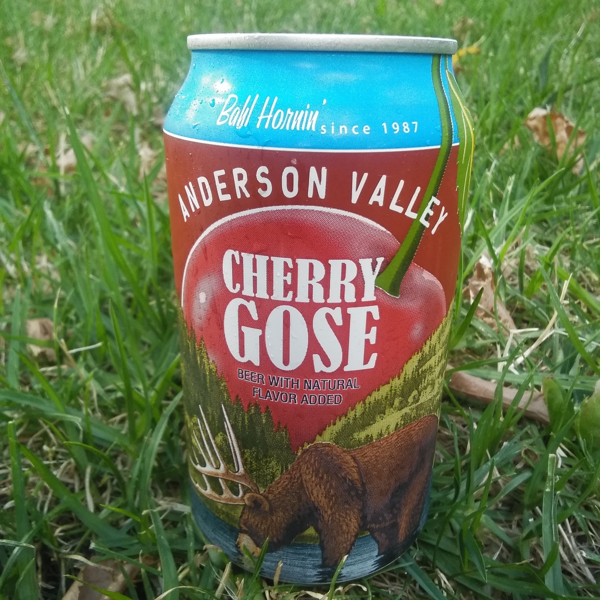 Cherry Gose from Anderson Valley Brewing Co - Vegan Product Reviews ...