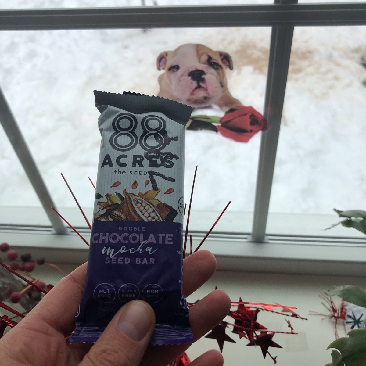 Double Chocolate Mocha Seed Bar from 88 Acres - Vegan Product Reviews ...
