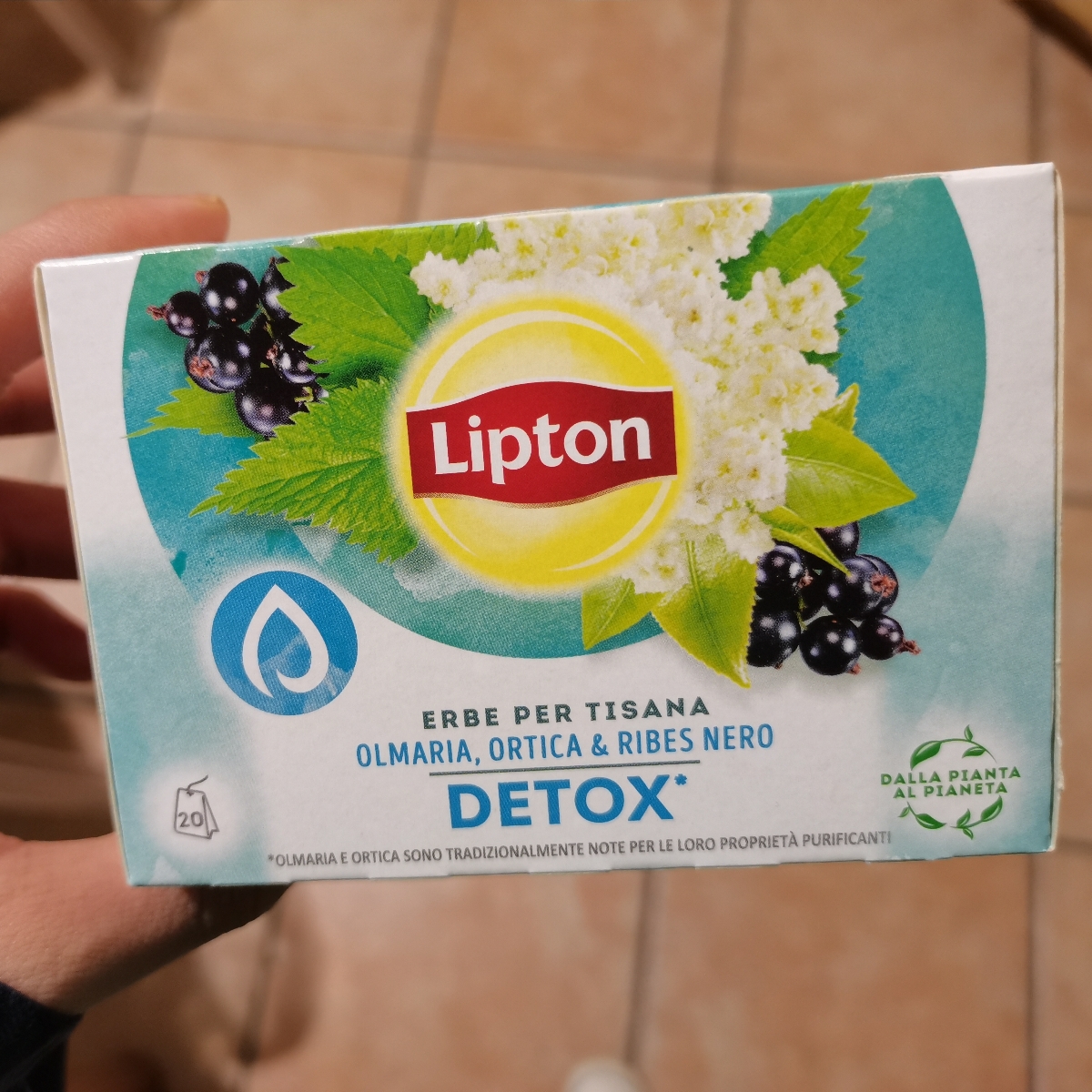 Lipton Tisana Detox (olmaria, ortica e ribes nero) Reviews | abillion
