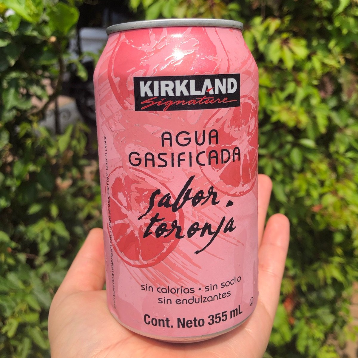 Agua Gasificada Sabor Toronja from Kirkland Signature - Vegan Product ...
