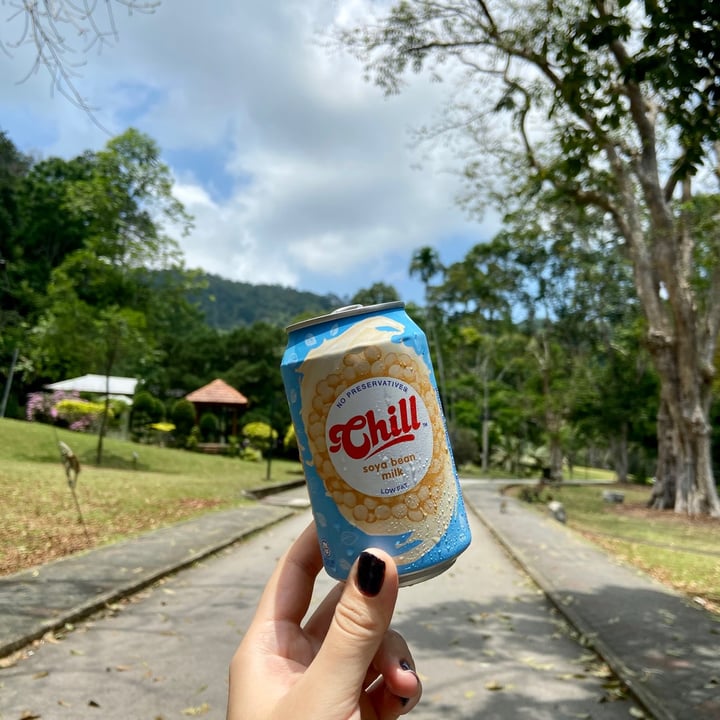 Chill Soya Bean Milk Review | abillion