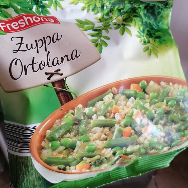 Freshona Zuppa ortolana Review | abillion