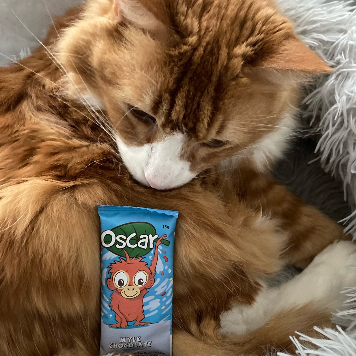 Oscar Oscar mylk Chocolate Reviews | abillion