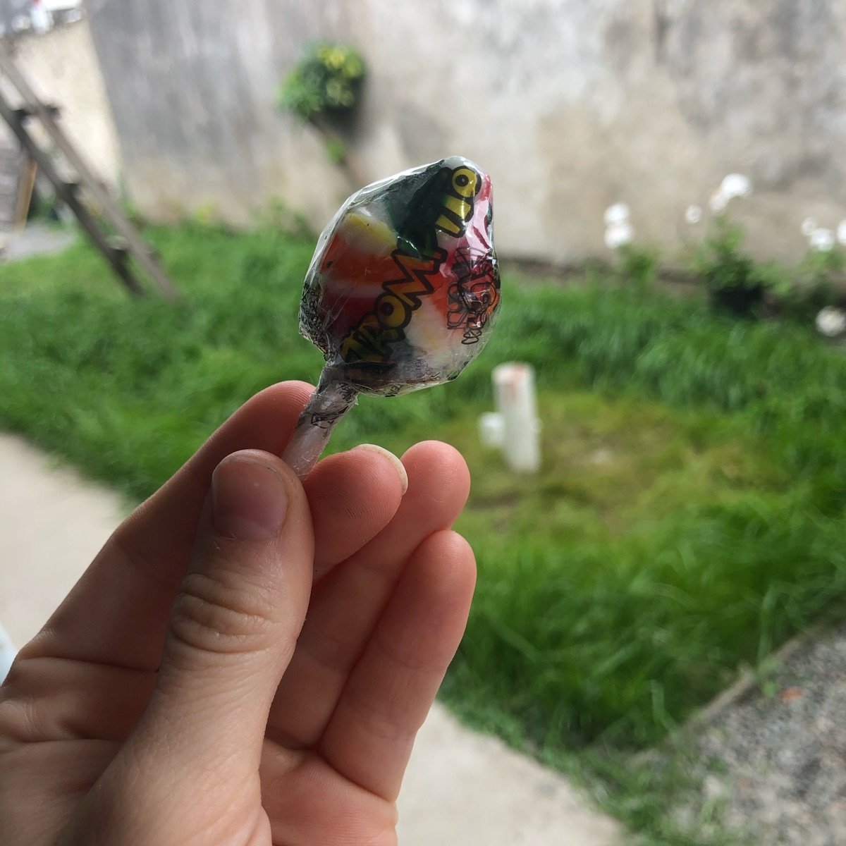 Chupetín trompito from Míster Pops - Vegan Product Reviews & Ratings ...
