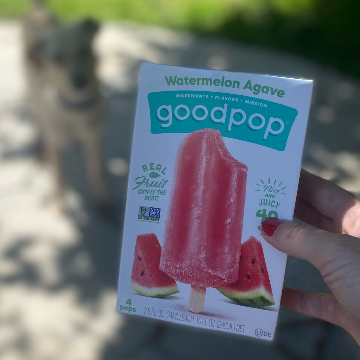 Watermelon Agave from Goodpop - Vegan Product Reviews & Ratings | abillion