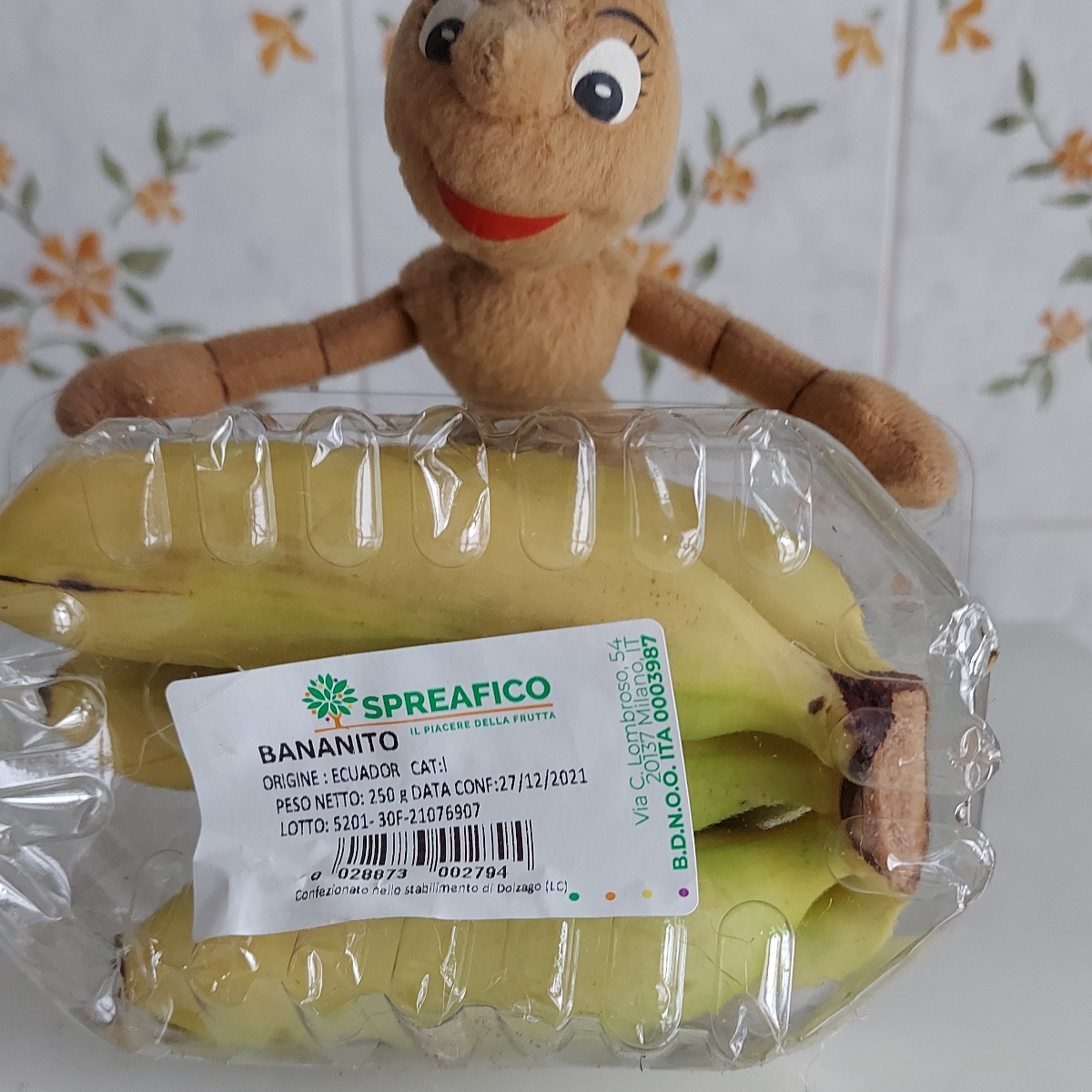 Spreafico Bananito Reviews | abillion