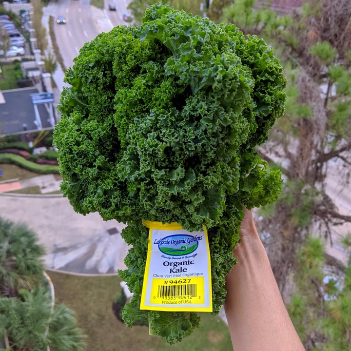 Lakeside Organic Gardens Organic Kale Review | abillion