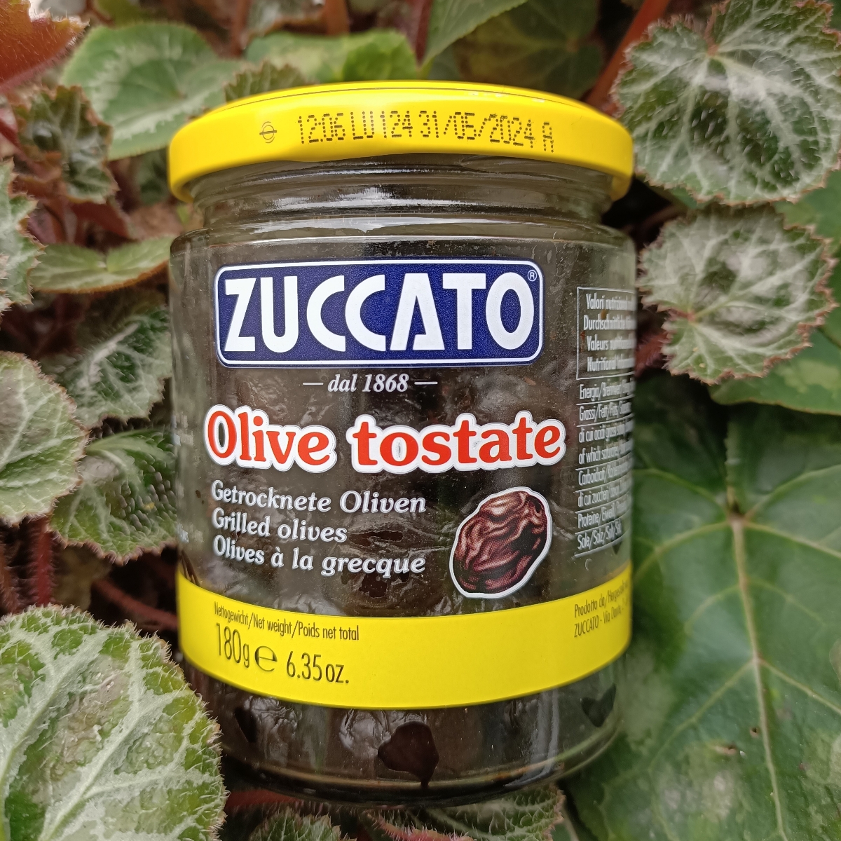 Olive tostate from Zuccato - Vegan Product Reviews & Ratings | abillion