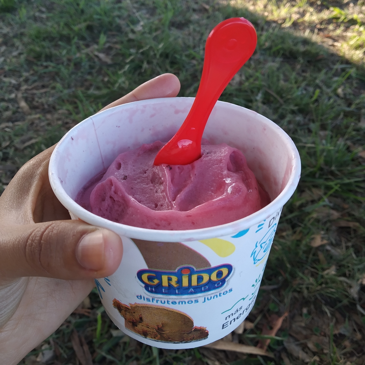 Helado sabor Frutos Rojos from Grido - Vegan Product Reviews & Ratings ...