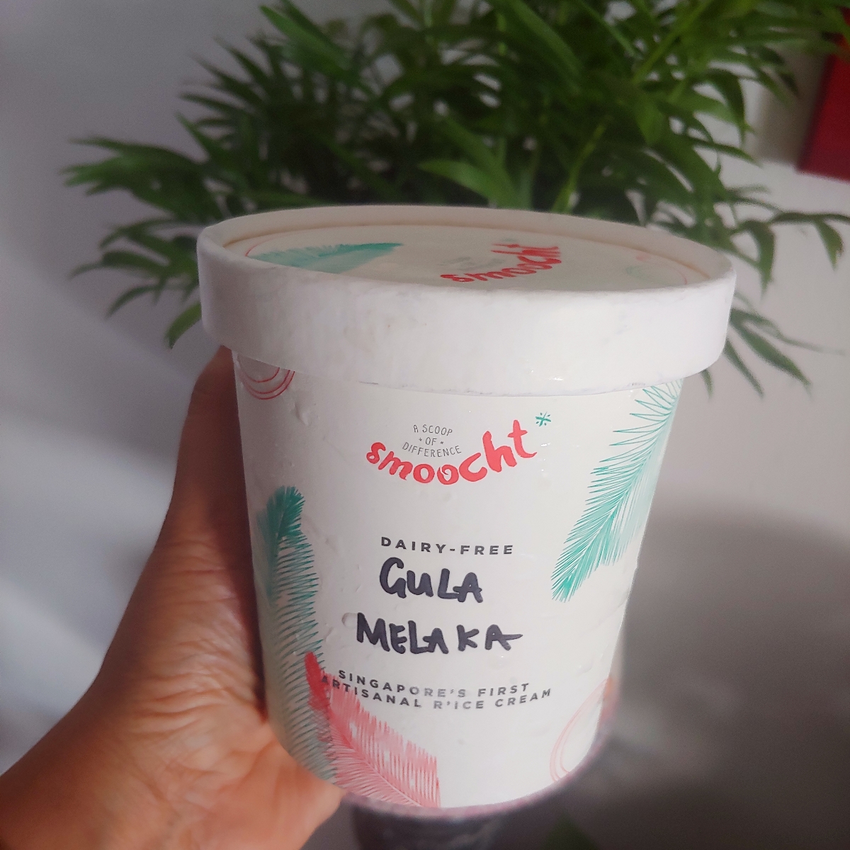 Gula Melaka Ice Cream from Smoocht - Vegan Product Reviews & Ratings ...