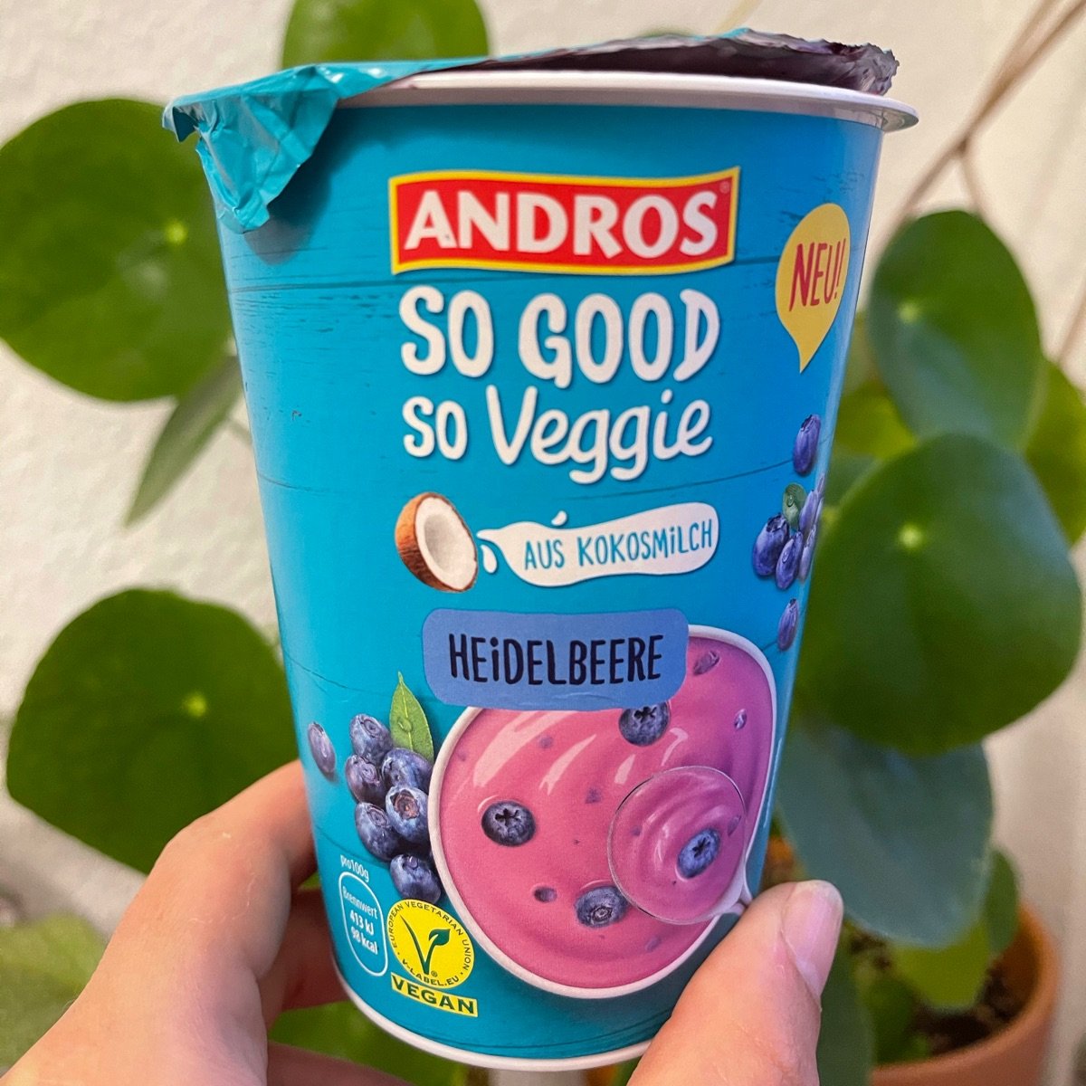 Andros Aus Kokosmilch Heidelbeere Reviews | abillion