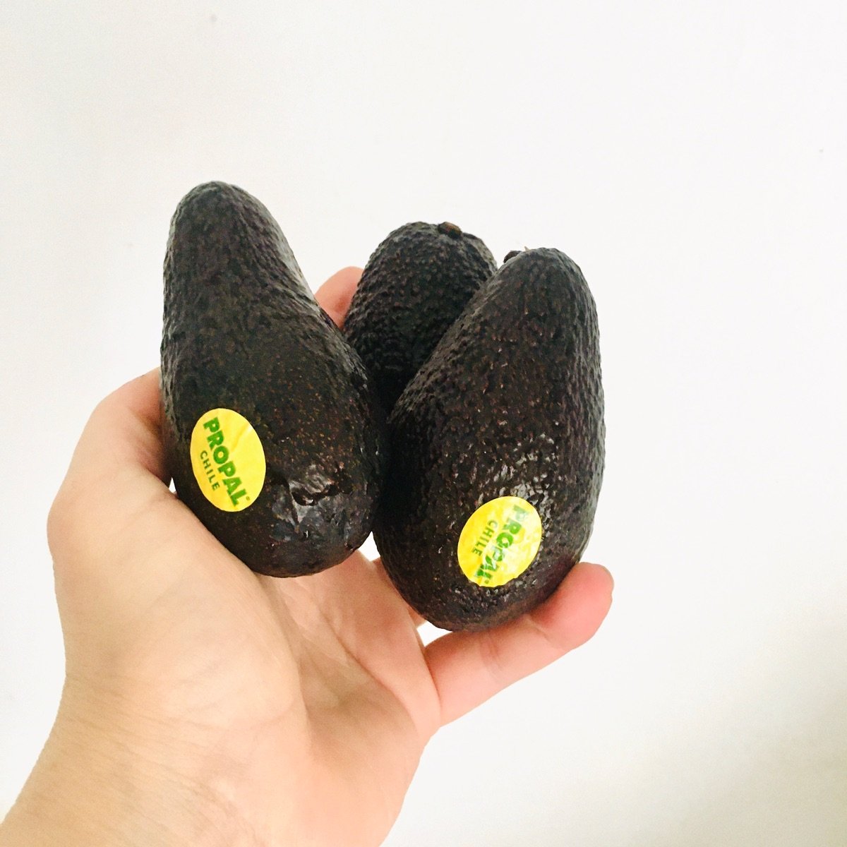 Propal Chile Palta Reviews | abillion