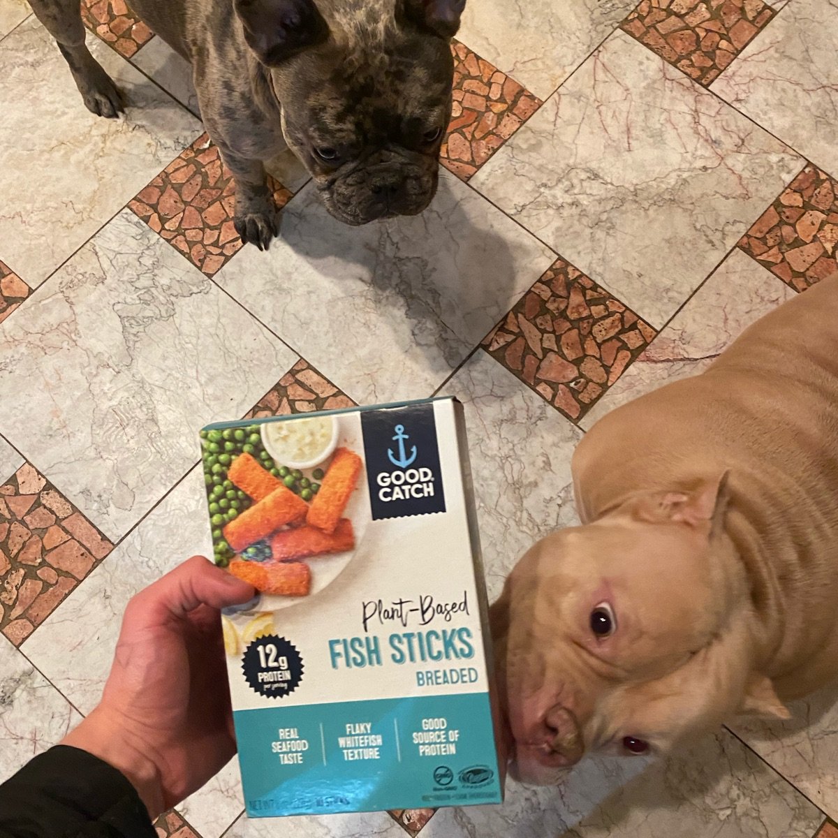 Good Catch Plant-Based Fish Sticks Breaded Reviews | abillion