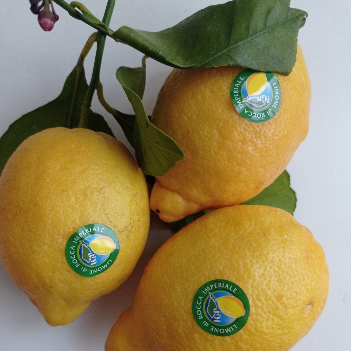 Limone di rocca imperiale from L'oro della Calabria - Vegan Product ...