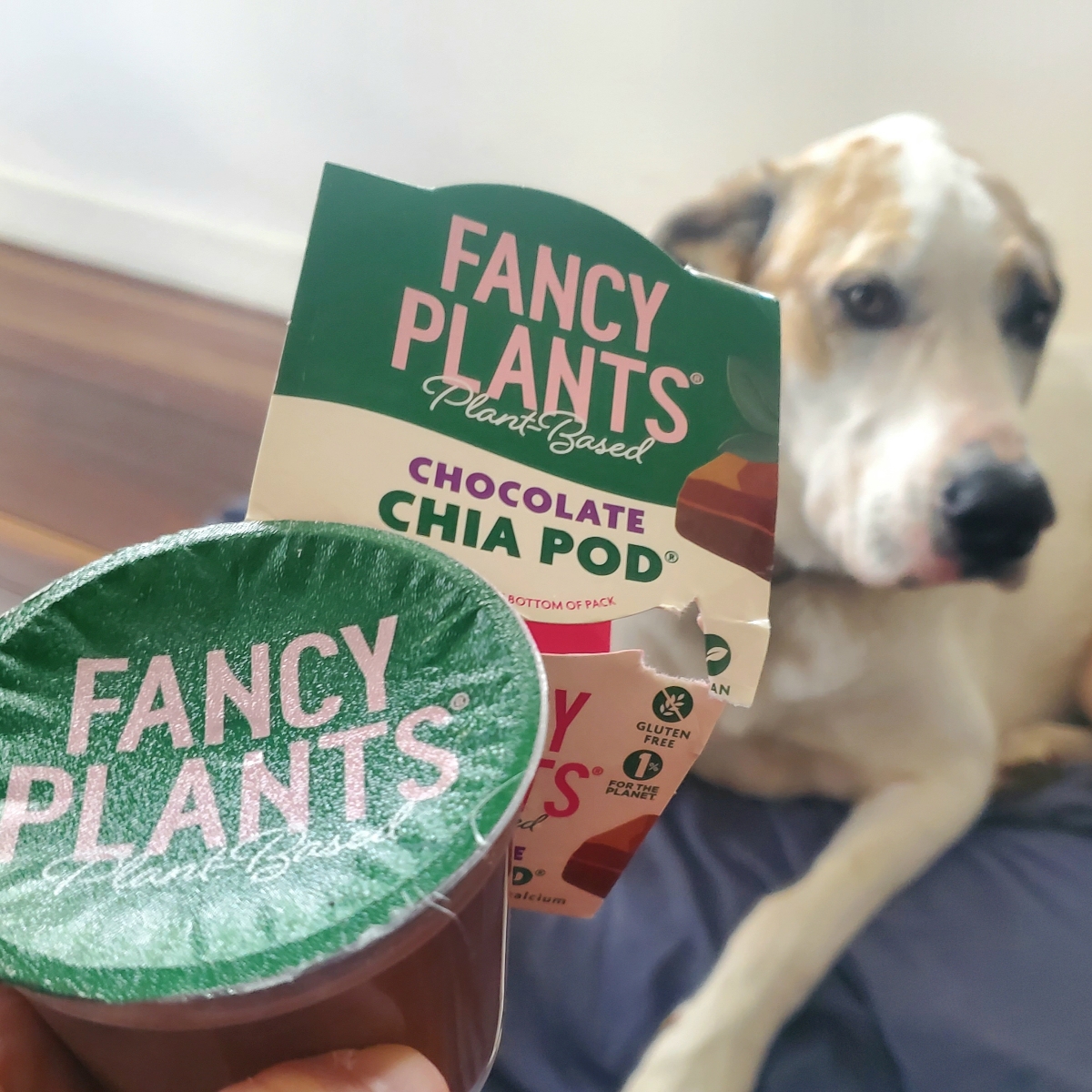 Chocolate Chia Pod from Fancy Plants - Vegan Product Reviews & Ratings ...