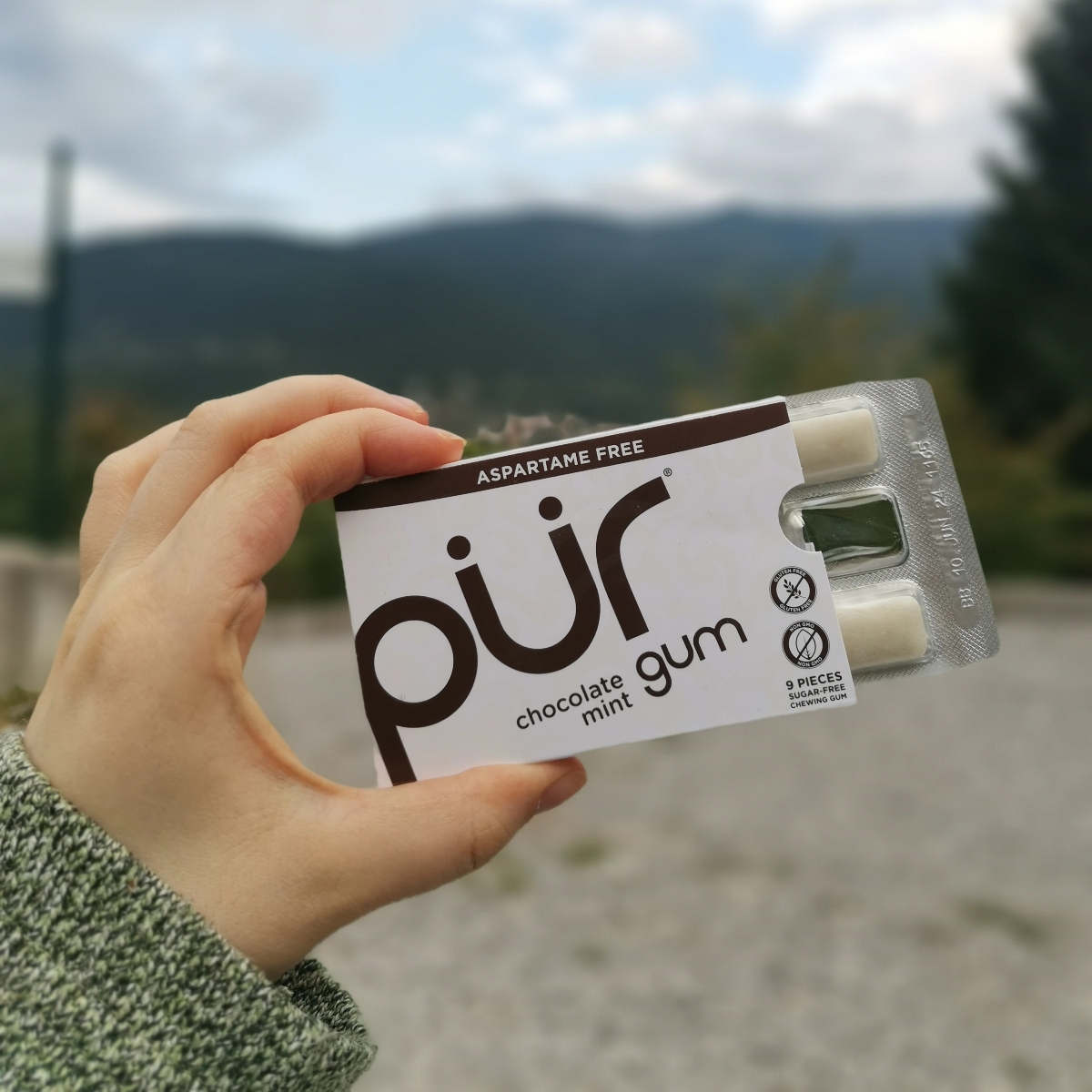 Chocolate Mint Gum from PÜR Gum - Vegan Product Reviews & Ratings ...