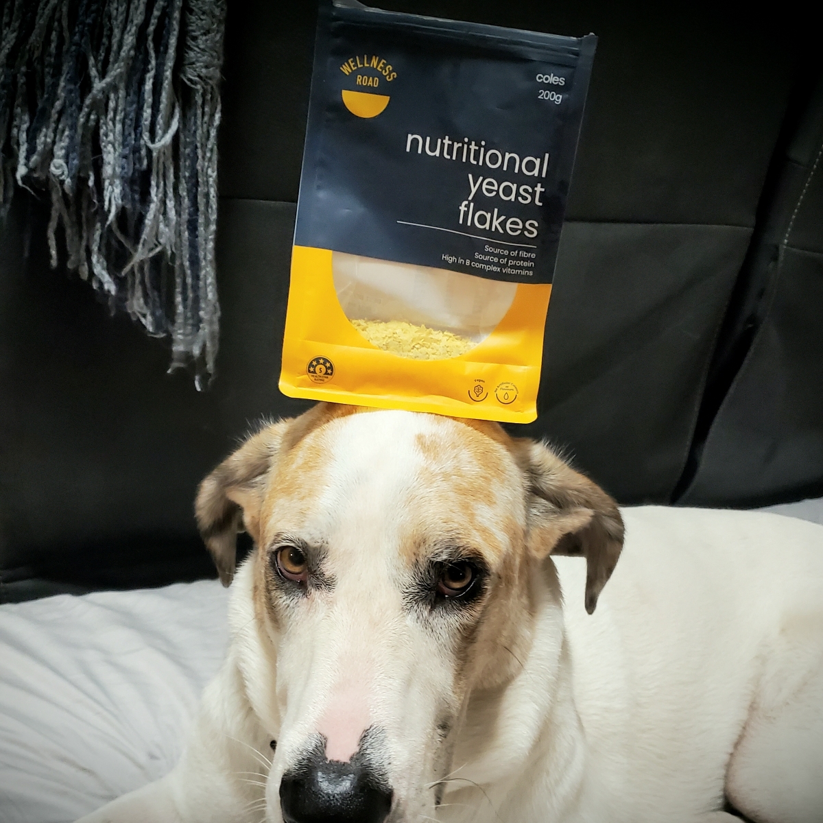 Wellness road - Nutritional Yeast Flakes Review | abillion
